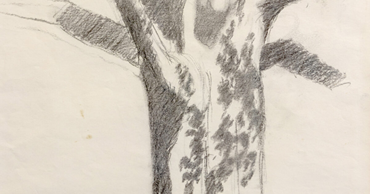 Burton Callicott | David Lusk Gallery
