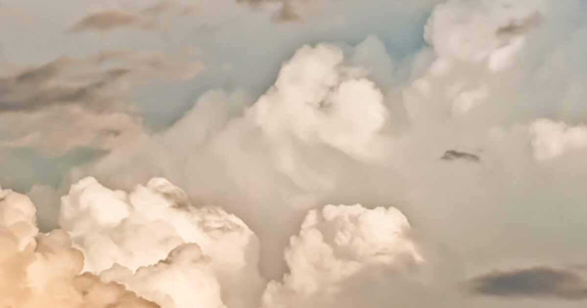 Catherine Erb | David Lusk Gallery