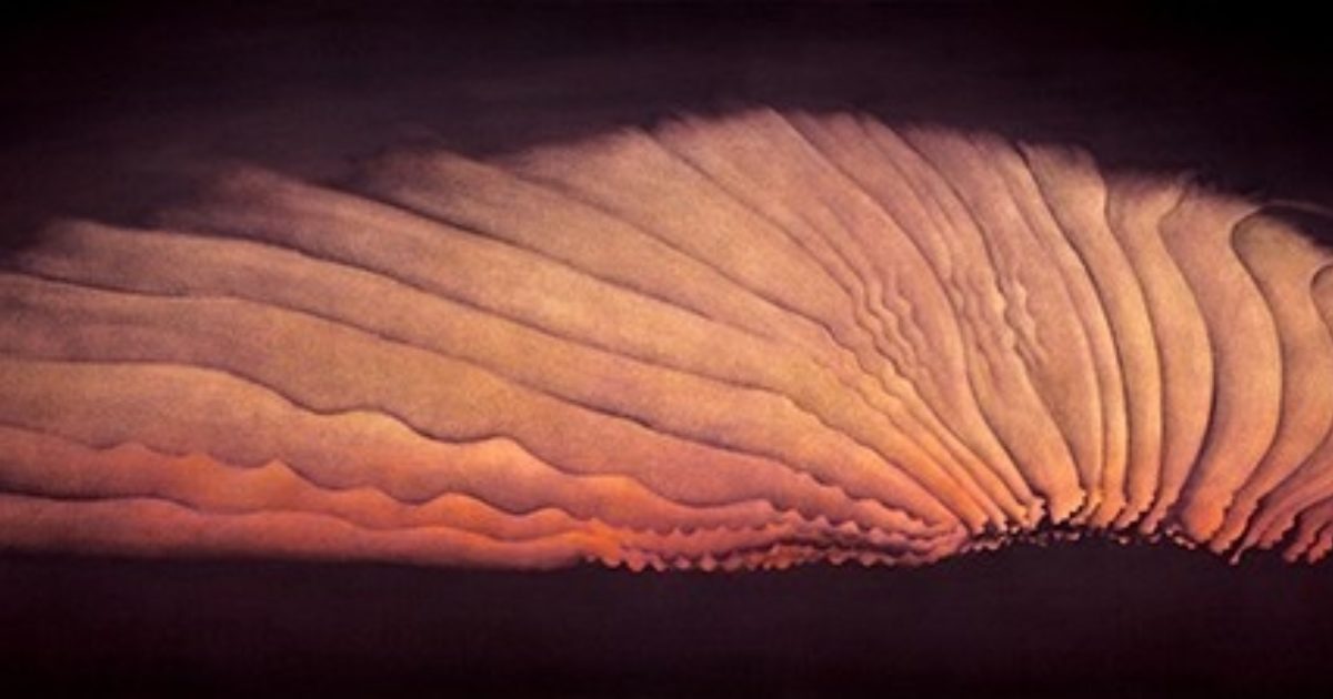 Veda Reed’s “Day Into Night” at the Brooks | David Lusk Gallery